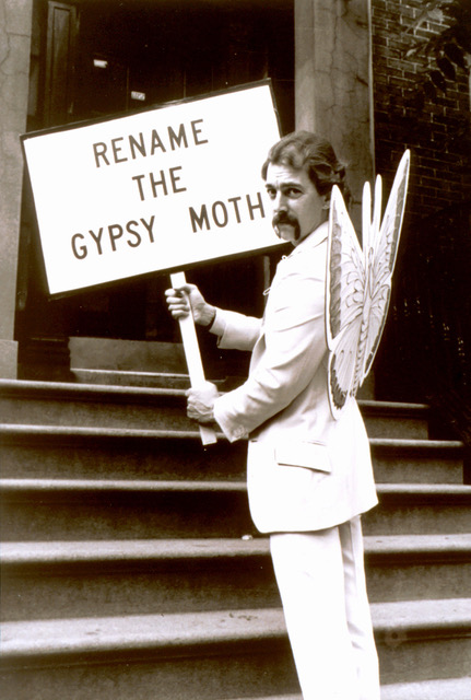 Will a Gypsy by Any Other Name Sound as Sweet? – Joe Enright's Stuff